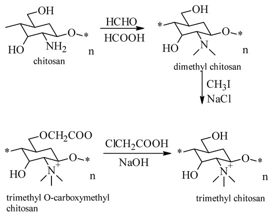 Preparation and Antimicrobial Activity of Chitosan and Its Derivatives ...