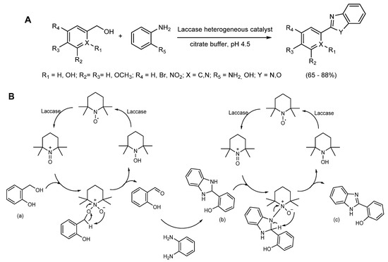 Laccases: Versatile Biocatalysts for the Synthesis of Heterocyclic Cores