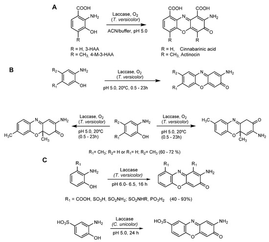 Laccases: Versatile Biocatalysts for the Synthesis of Heterocyclic Cores