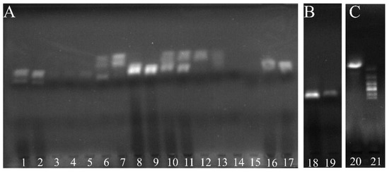 Simultaneous Quantification of Ampicillin and Kanamycin in Water ...