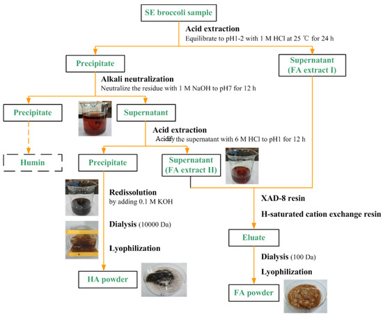 Potential Hydrothermal-Humification of Vegetable Wastes by Steam ...