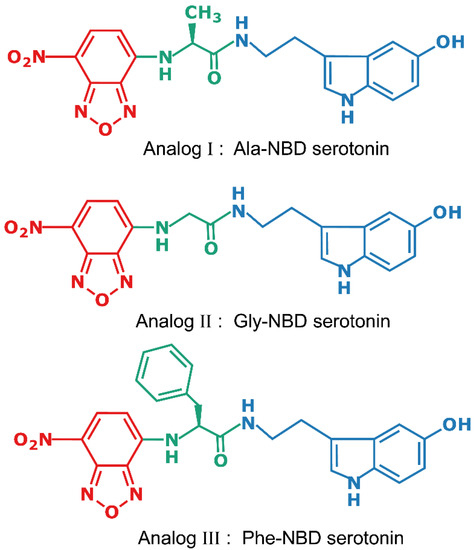 Environment-Sensitive Fluorescence of 7-Nitrobenz-2-oxa-1,3-diazol-4-yl ...