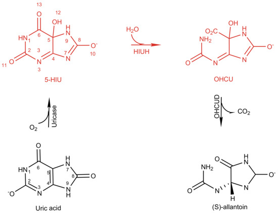 Theoretical Studies on the Binding Mode and Reaction Mechanism of TLP ...