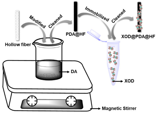 Evaluation of Enzyme Inhibitory Activity of Flavonoids by Polydopamine ...