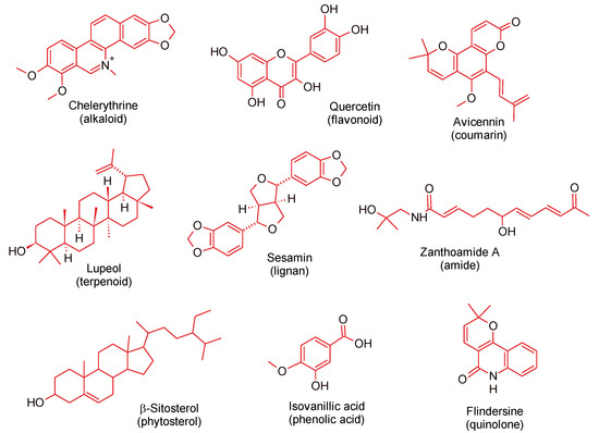 Zanthoxylum Species: A Comprehensive Review of Traditional Uses ...