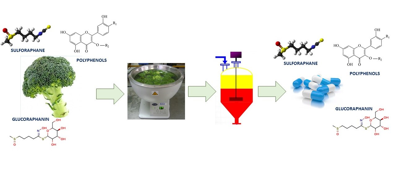 Molecules | Free Full-Text | Optimization of an Extraction Process to ...