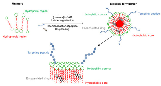 Forward Precision Medicine: Micelles for Active Targeting Driven by ...