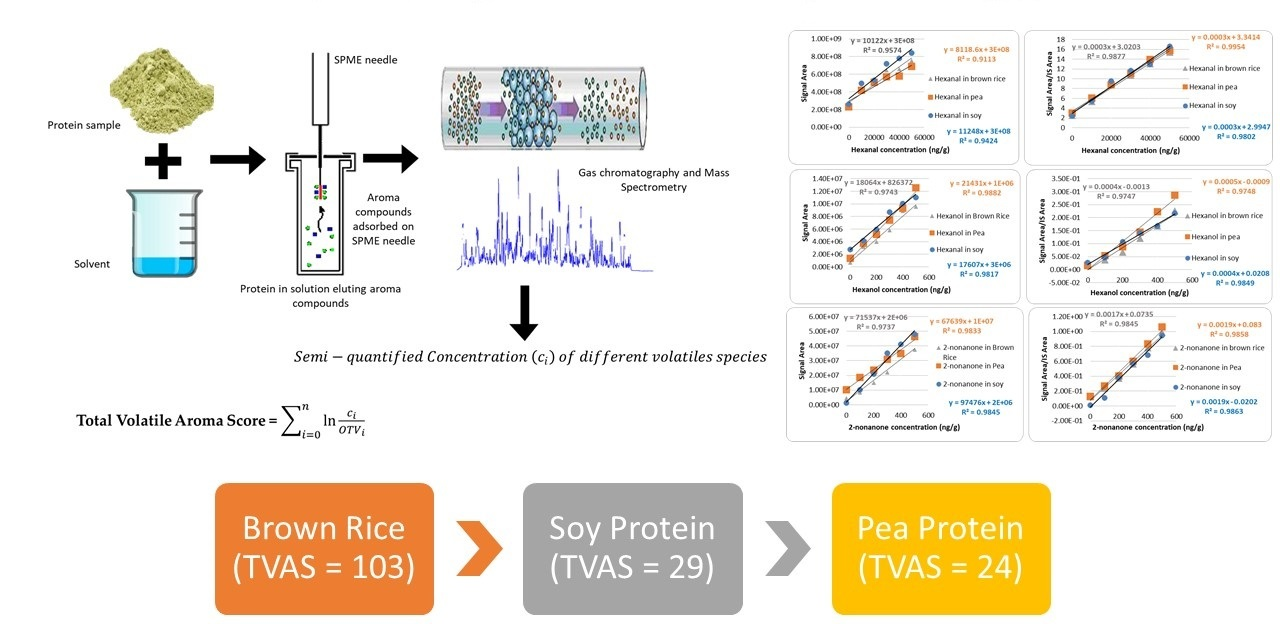 Molecules | Free Full-Text | A Rapid Gas-Chromatography/Mass ...