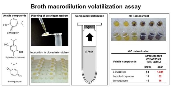 Molecules | Free Full-Text | New Broth Macrodilution Volatilization ...