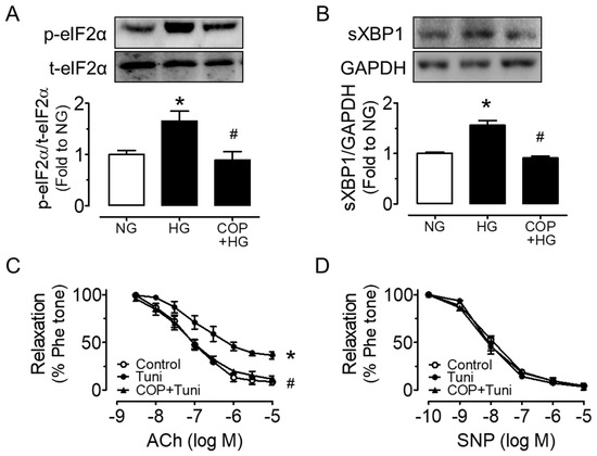 Coptisine Attenuates Diabetes—Associated Endothelial Dysfunction ...