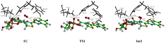 A QM/MM Study on the Initiation Reaction of Firefly Bioluminescence ...