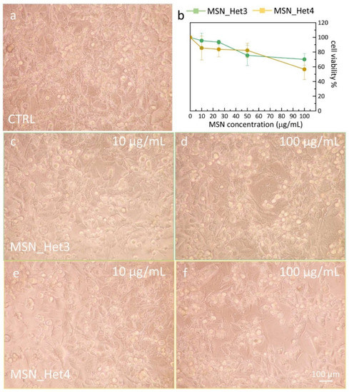 High Surface Area Mesoporous Silica Nanoparticles with Tunable Size in ...