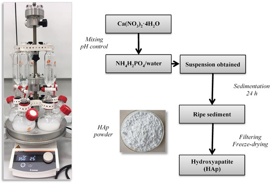 Hydroxyapatite Obtained via the Wet Precipitation Method and PVP/PVA ...