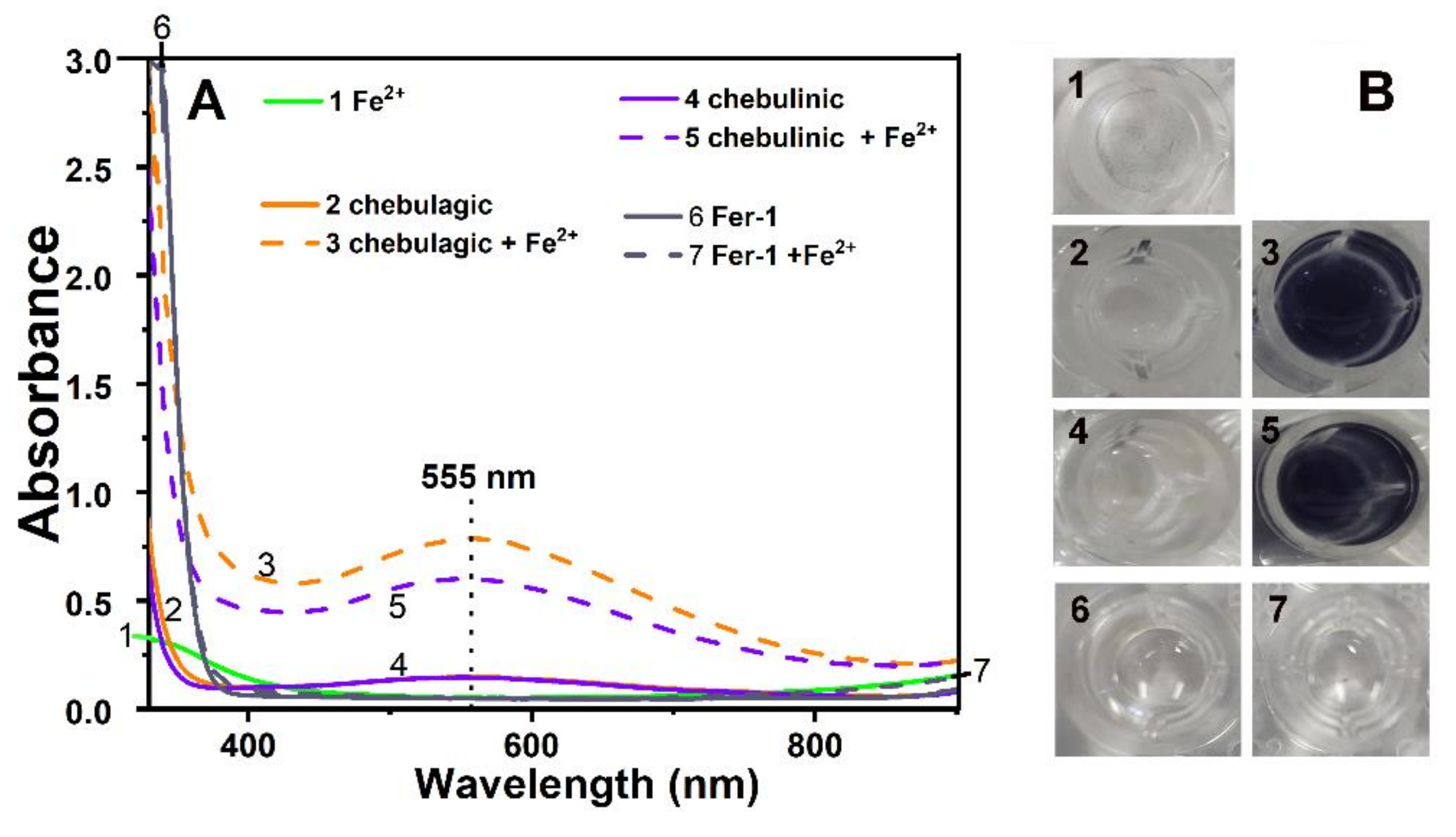 Ferroptosis-Inhibitory Difference between Chebulagic Acid and ...
