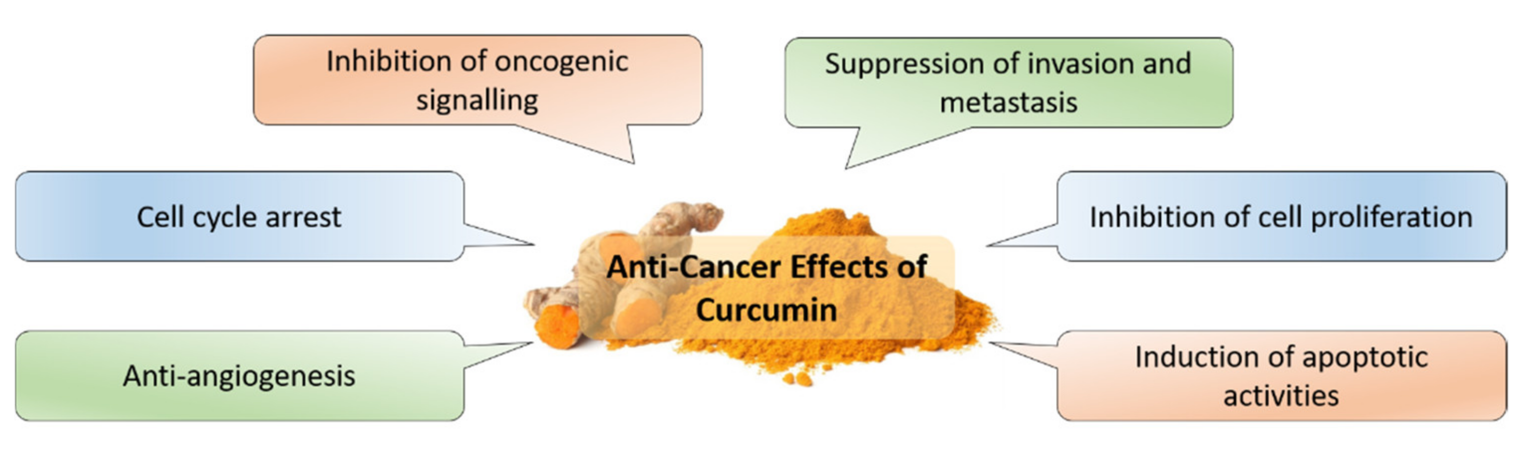 Molecules Free Full Text Is Curcumin The Answer To Future