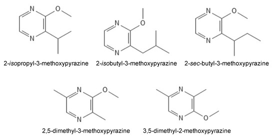 A Review of Ladybug Taint in Wine: Origins, Prevention, and Remediation
