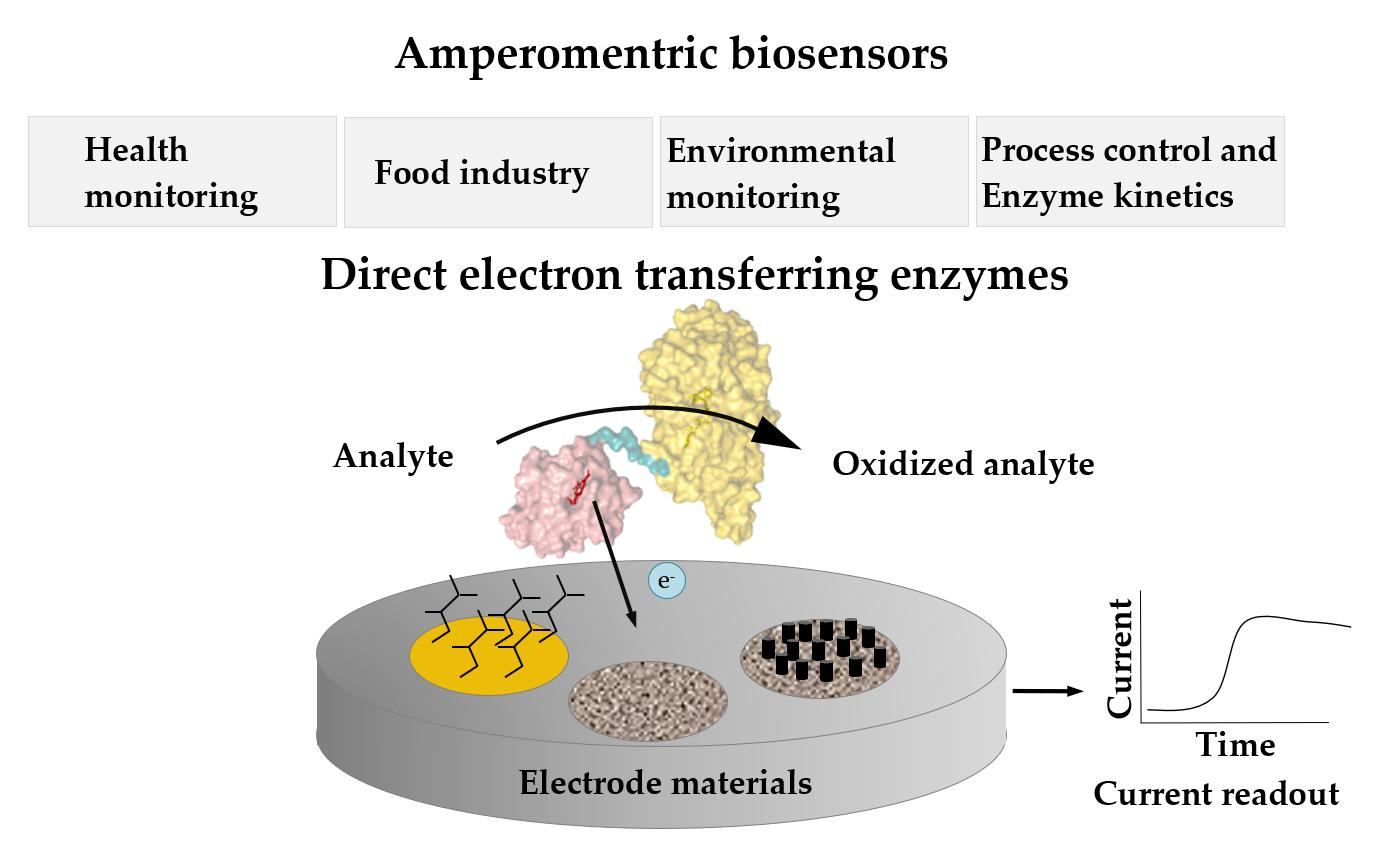 Molecules | Free Full-Text | Amperometric Biosensors Based on Direct ...