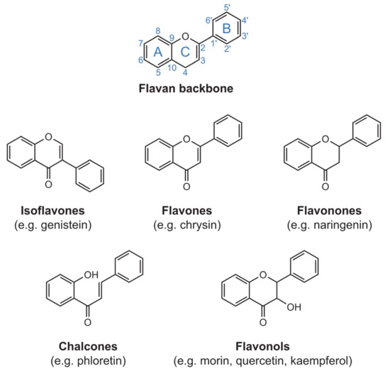 Redesigning Nature: Ruthenium Flavonoid Complexes with Antitumour ...