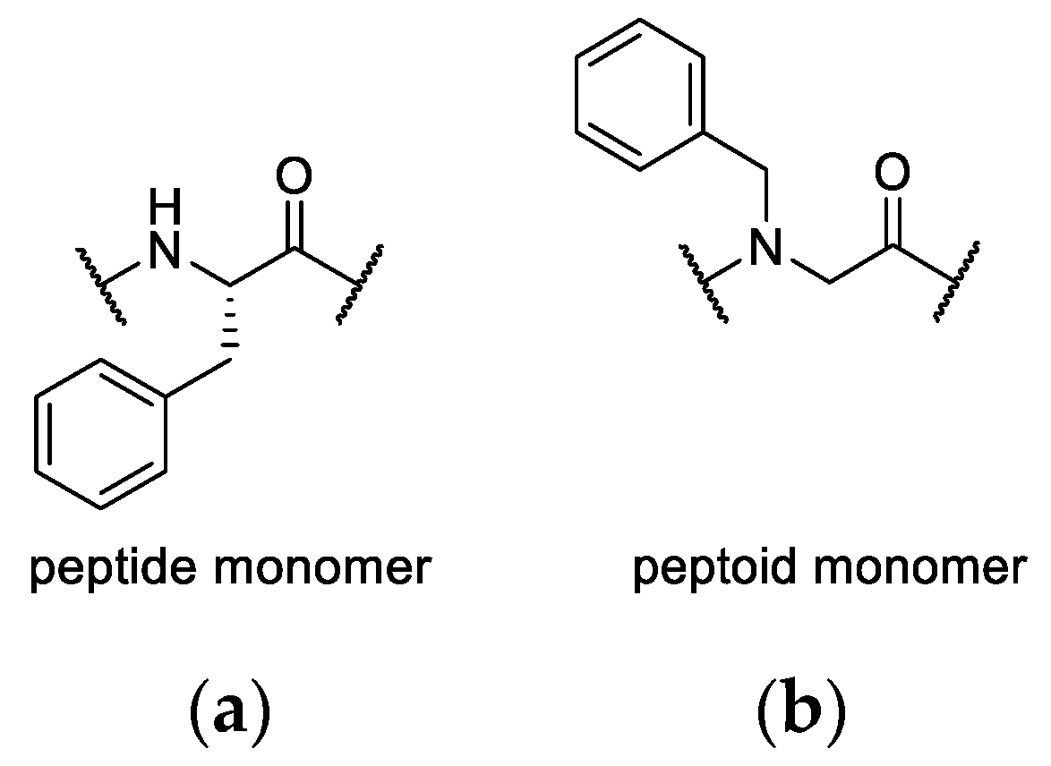 Monomers Of Polypeptides