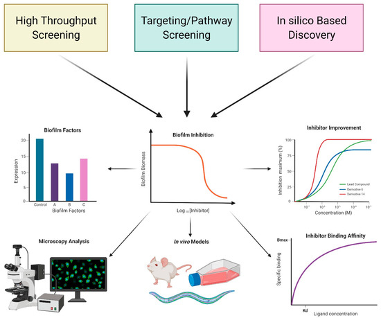 Strategies and Approaches for Discovery of Small Molecule Disruptors of ...