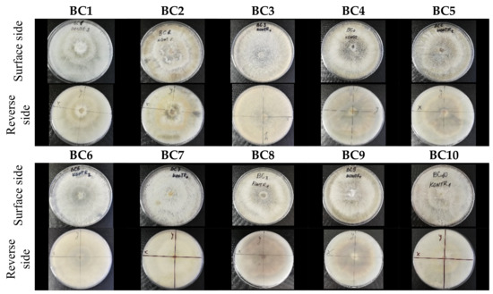 Sensitivity of Botrytis cinerea Isolates Complex to Plant Extracts