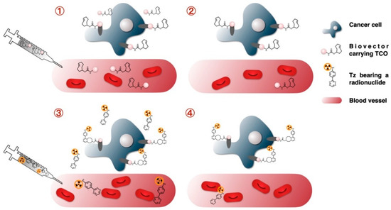 IEDDA: An Attractive Bioorthogonal Reaction for Biomedical Applications