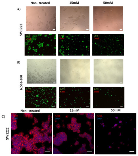 Metal Complex Formation and Anticancer Activity of Cu(I) and Cu(II ...