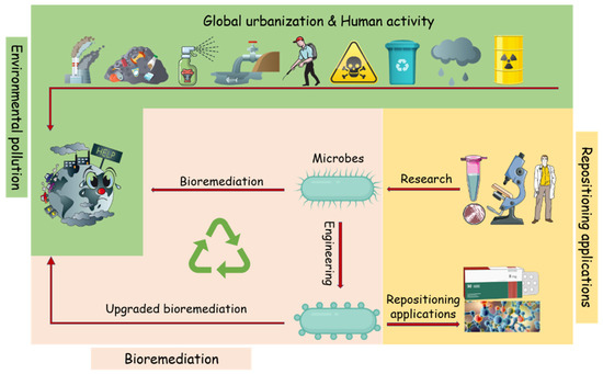 Pollutant Degrading Enzyme: Catalytic Mechanisms and Their Expanded ...