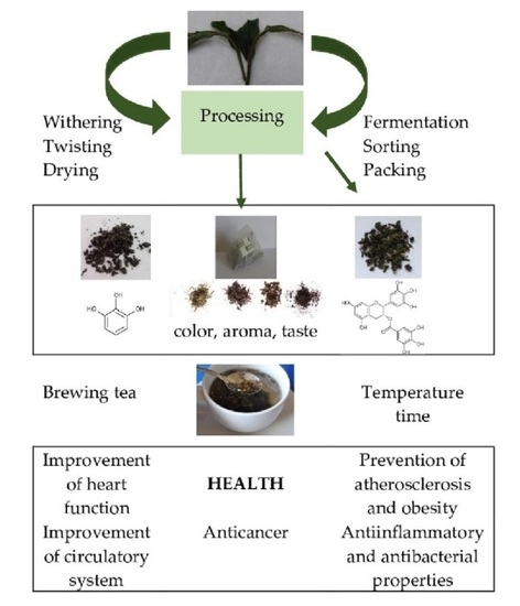 Molecules | Free Full-Text | Influence of Tea Brewing Parameters on the ...