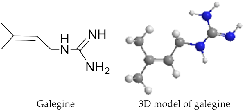 Antihypertensive Effect of Galegine from Biebersteinia heterostemon in Rats