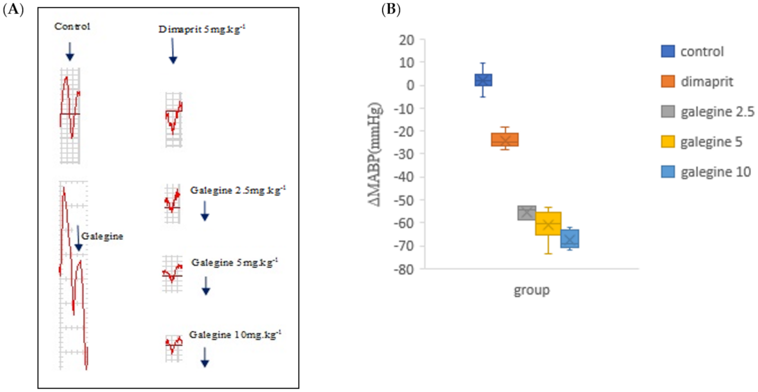 Antihypertensive Effect of Galegine from Biebersteinia heterostemon in Rats