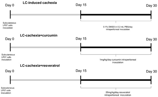 Curcumin and Resveratrol Improve Muscle Function and Structure through ...