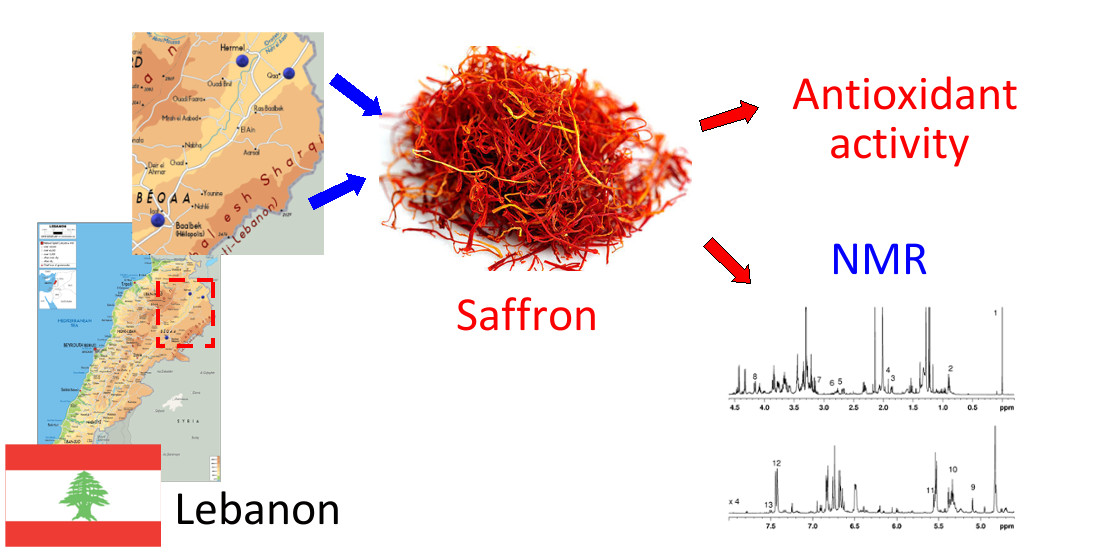 Molecules | Free Full-Text | 1H-NMR Metabolic Profiling and Antioxidant ...