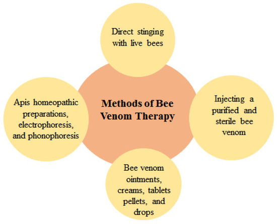 Bee Venom: From Venom to Drug