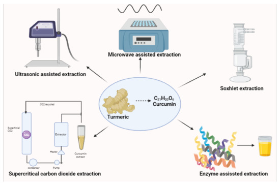 Curcumin Nanoparticles as Promising Therapeutic Agents for Drug Targets