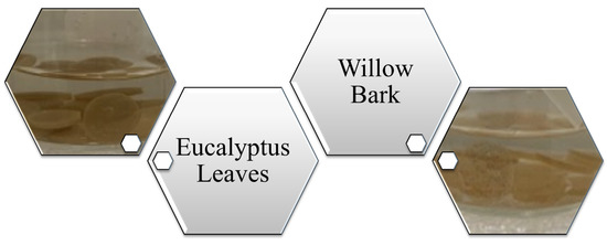Molecules | Special Issue : Antimicrobial Materials with Medical ...