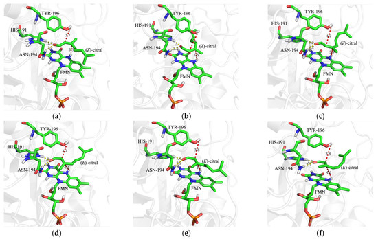 Engineering of Yeast Old Yellow Enzyme OYE3 Enables Its Capability ...