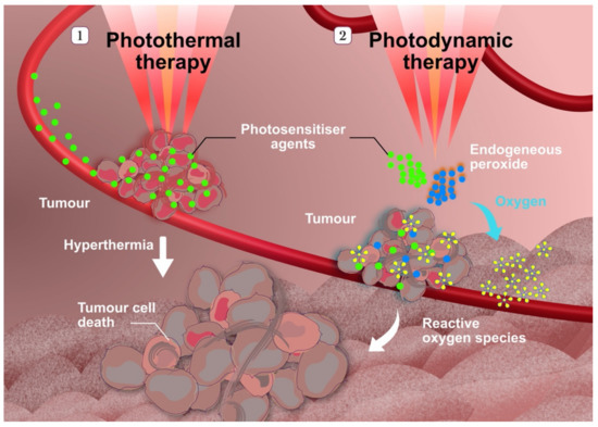Advances in Biomimetic Nanoparticles for Targeted Cancer Therapy and ...