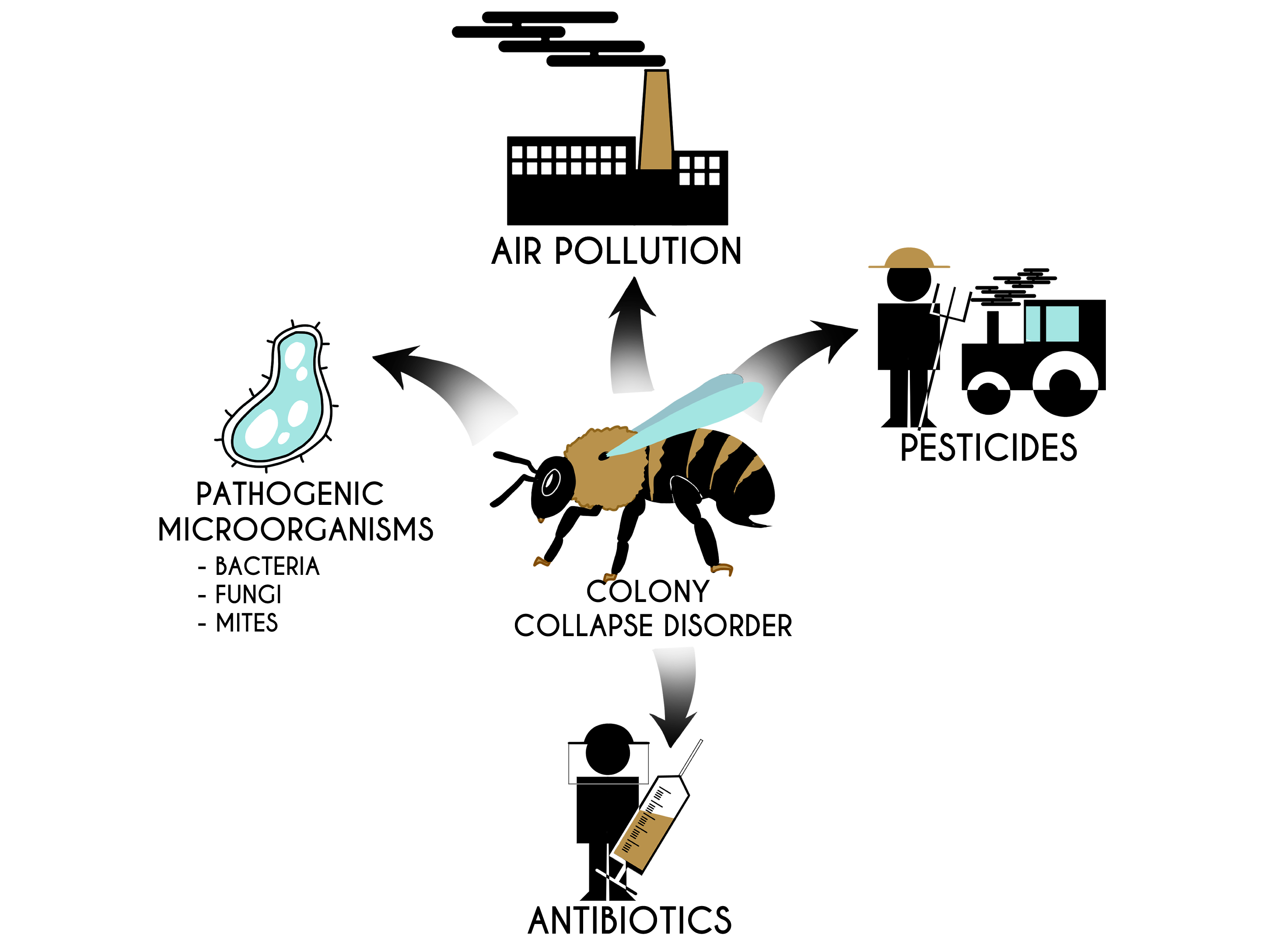 Molecules | Free Full-Text | Effects of Insecticides and ...