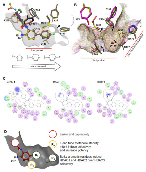 Non-Hydroxamate Zinc-Binding Groups as Warheads for Histone Deacetylases