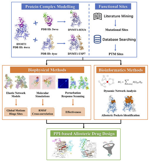 Molecules | Free Full-Text | Insights into Conformational Dynamics and Allostery in DNMT1-H3Ub ...