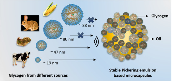 Molecules | Free Full-Text | Ultrasound-Assisted Microencapsulation of ...