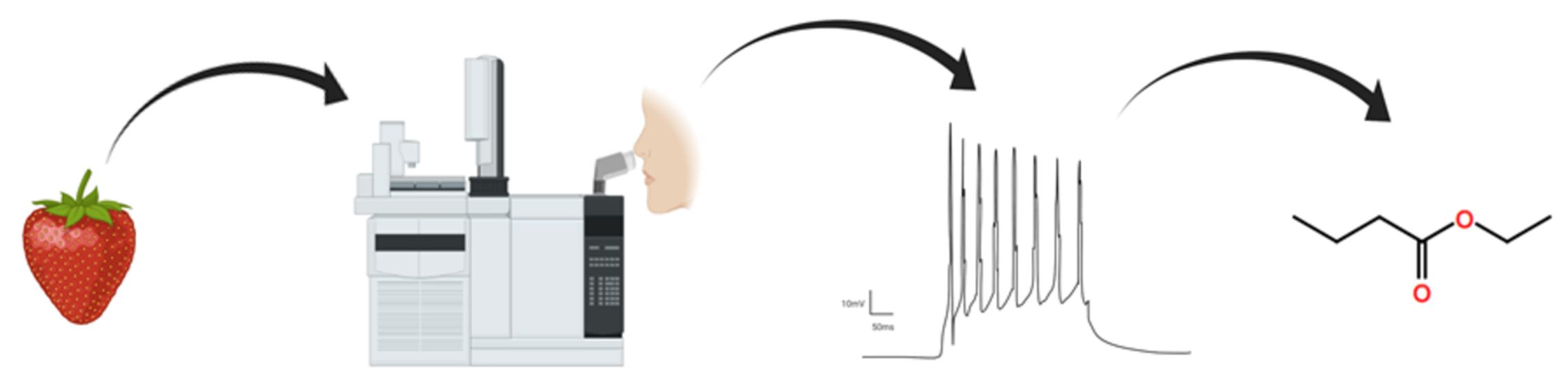 Molecules | Free Full-Text | A Narrative Review of the Current ...