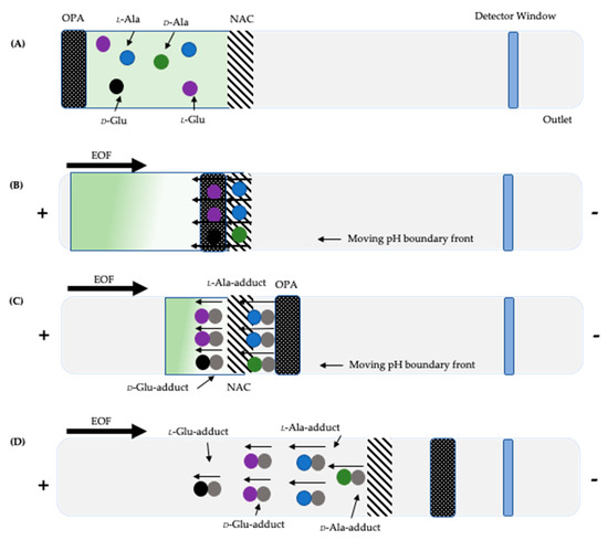 Enantioselectivity Effects in Clinical Metabolomics and Lipidomics