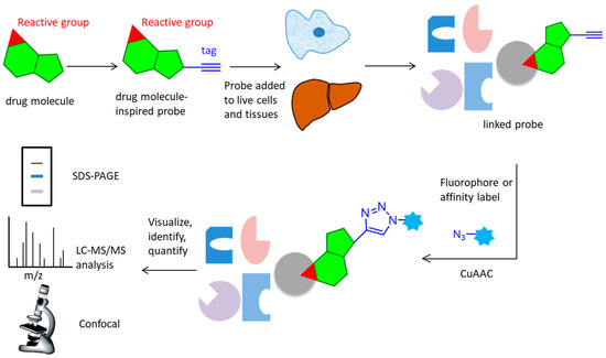 Recent Advances about the Applications of Click Reaction in Chemical ...