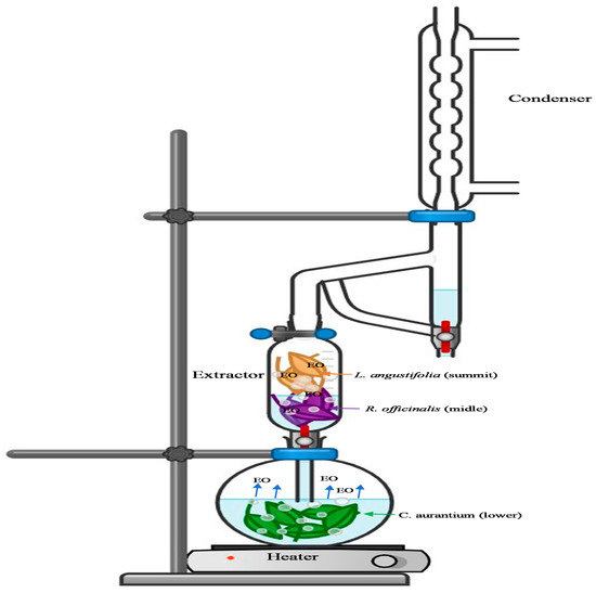 Simultaneous Hydrodistillation-Steam Distillation of Rosmarinus ...