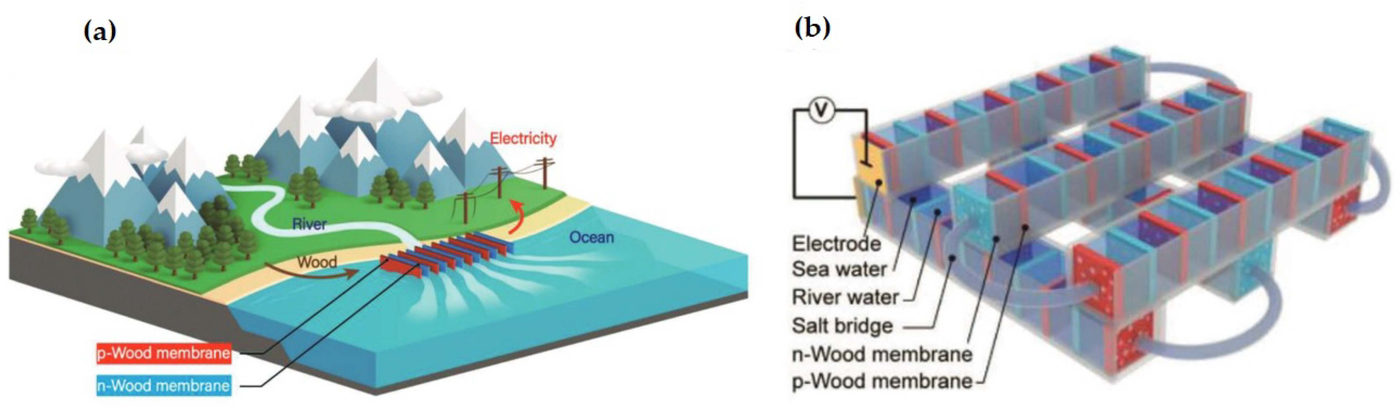 Molecules | Free Full-Text | Miniaturized Salinity Gradient Energy Harvesting Devices