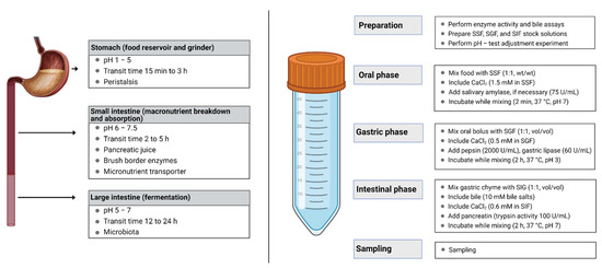 Molecules | Free Full-Text | Lipid-Based Nanocarrier System for the ...