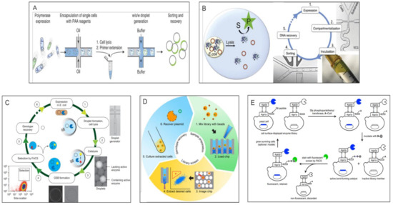 Directed Evolution Methods for Enzyme Engineering