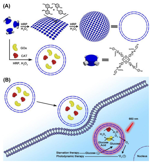 Biomimetic Cascade Polymer Nanoreactors for Starvation and Photodynamic ...